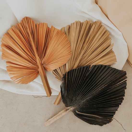 Dried Palm Frond | Made, Modern Handmade