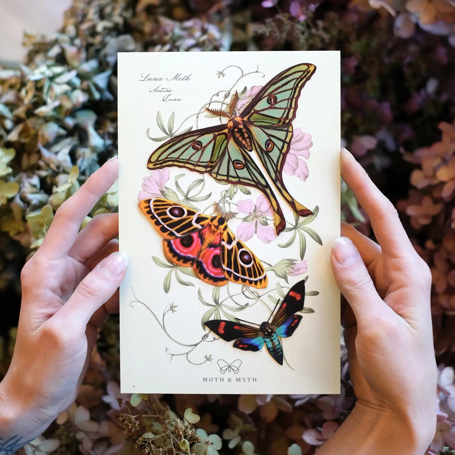 Jade Spanish Moon Moth Set by Moth & Myth | Made, Modern Handmade