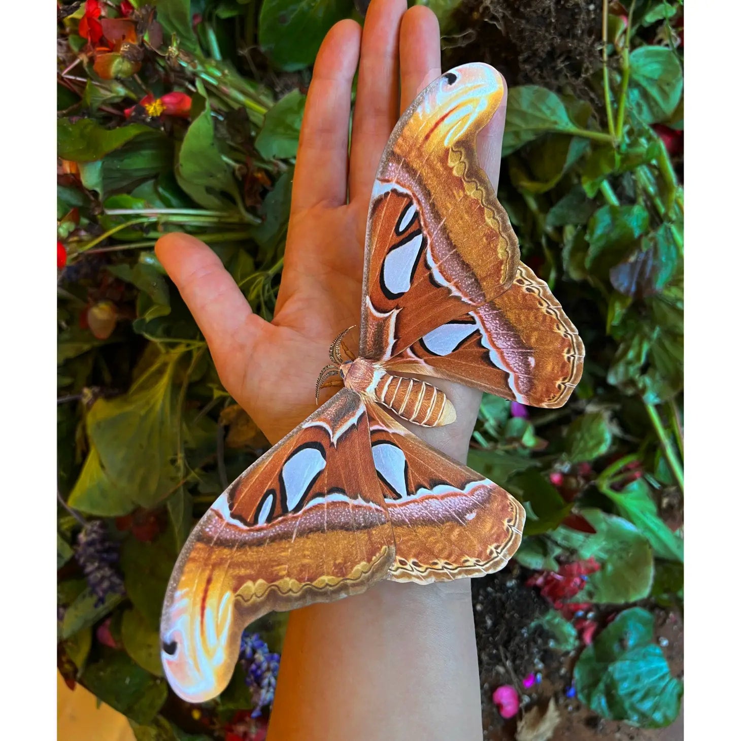 Amber Atlas Moth Large by Moth & Myth | Made, Modern Handmade